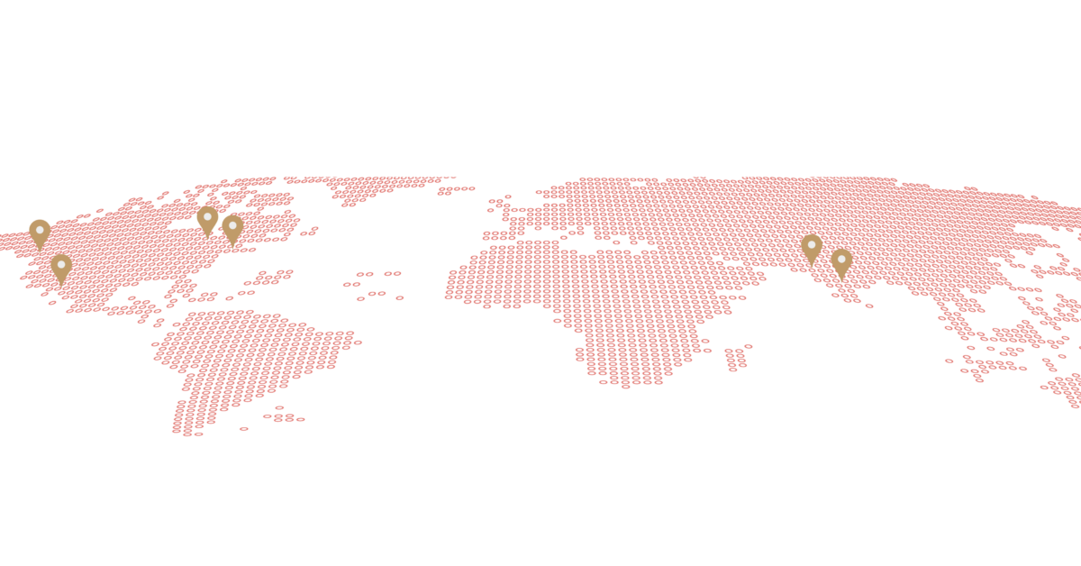 Plurilock AI - Advanced cybersecurity for your business.