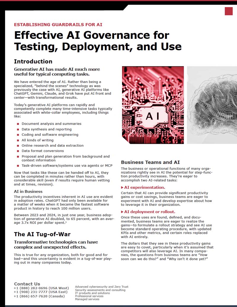 Free Whitepaper: Establishing Guardrails for Generative AI - Plurilock