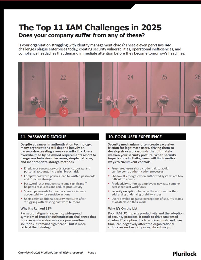 Free Guide: Top 11 Enterprise IAM Risks and Problems for 2025 - Plurilock